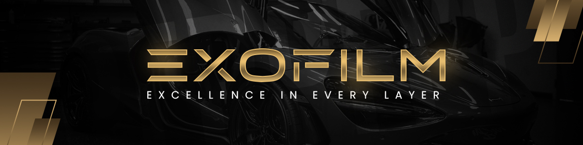 VISION FLEX - ExoFilm USA